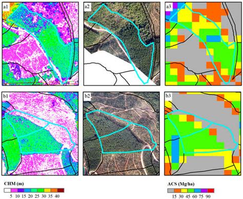 Remote Sensing Special Issue Monitoring Forest Carbon Sequestration With Remote Sensing