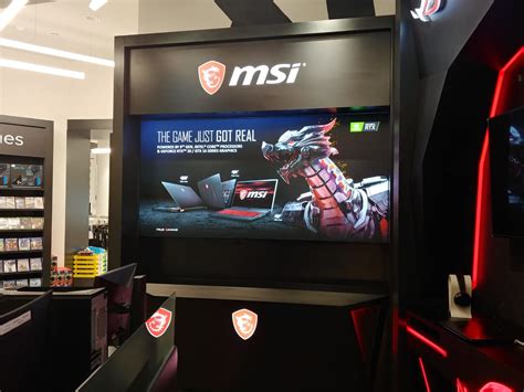 Msi Display Fixtures Blackvine