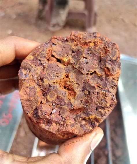 Animesh Mondal On Linkedin Environment Iron 13 Comments