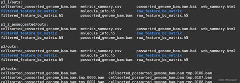 Samtools Sort 4 T Cb O Bam O New Idsamtools排序原理过程 Csdn博客