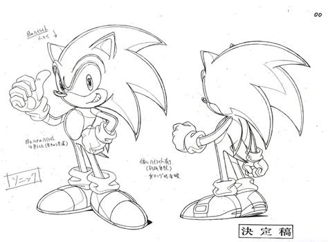 Character Model Sheet Character Art How To Draw Sonic Sonic The Hedgehog Hedgehog Drawing