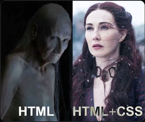 Web Dev Meme DevRant