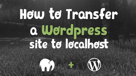 How To Transfer A Live Wordpress Website To Your Localhost Manually No