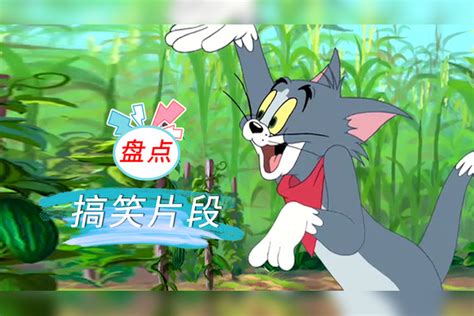 猫和老鼠盘点搞笑片段汤姆逃跑居然撞到窗户真是太逗了 汤姆 片段 窗户