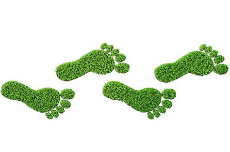 CO2 Voetafdruk Berekenen Kan Nu Ook Van Alternatieve Substraten