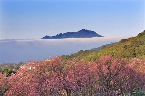 台灣之美全國攝影大賽 粉絲團 第三屆「台灣之美」全國攝影大賽佳作獎 姓名：陳俊豪 題名：夢境般山谷 地點：南投仁愛鄉南豐村 圖說：縱使夢裡