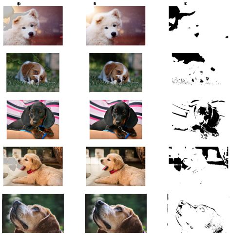 Conditional Like Execution And Masking NVIDIA DALI 1 11 1 Documentation