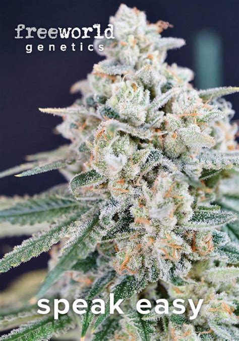 Genetics Freeworld Genetics