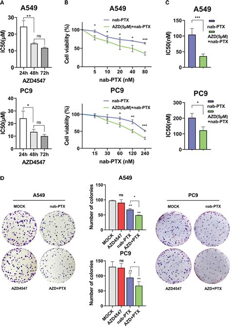 Azd4547 Combined With Nab Ptx Significantly Inhibited Cell