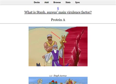 Best Sketchy Medical Anki Decks Willpeachmd