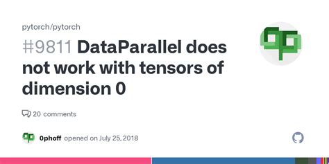 Dataparallel Does Not Work With Tensors Of Dimension Issue