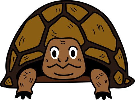 Cute Turtle Clip Art Library