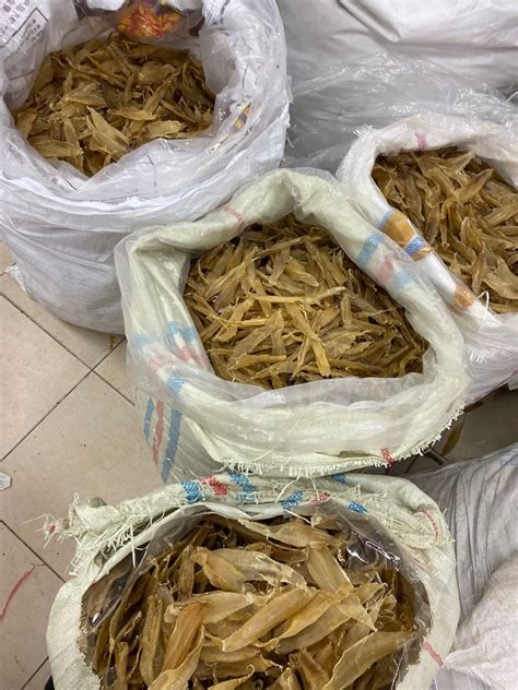 今天公布货源 1500斤 清水原装大口胶 足干漂亮 55头840 100头500 180头380 这个花胶也叫赤嘴 营养价值好