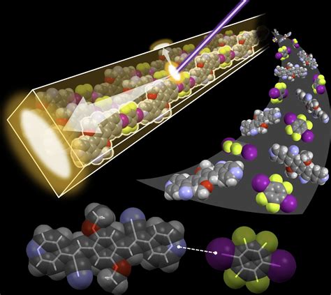Non‐covalent Supramolecular 1d Alternating Copolymer In Crystal Toward 2d Anisotropic Photon