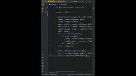 【胖猫 Python字符画】胖猫，一路走好！ 胖猫 谭竹 捞女 Python Pythonprogramming 编程 Youtube