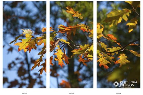 Good Things Come In Threes Using Triptych Nature Art To Improve