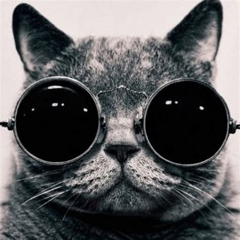 Odin Eidolon Youtube