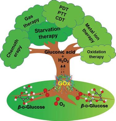 Glucose Oxidase‐instructed Multimodal Synergistic Cancer Therapy Fu