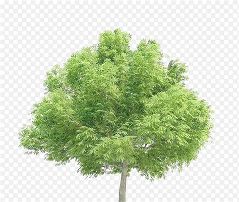Png Png