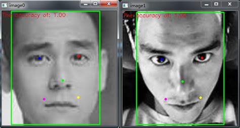 解决opencv Dnn模块无法使用onnx模型的问题将onnx的动态输入改成静态onnx模型 静态输入 Csdn博客