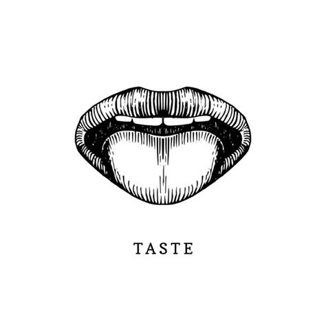 Tongue Illustrations Royalty Free Vector Graphics And Clip Art Istock