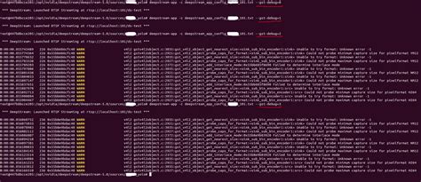 deepstream app is not working in deepstream docker how can i do