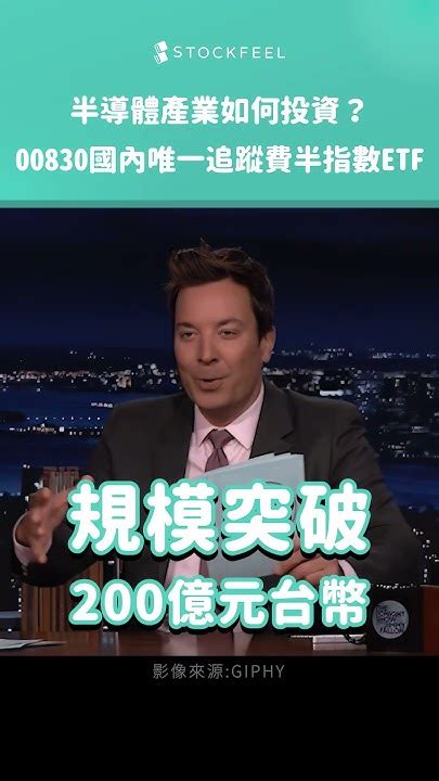 想分散投資於半導體產業、追求高成長的投資人🤩趕快來看看00830吧👀股感金融議題 股感 Stockfeel Stockfeel