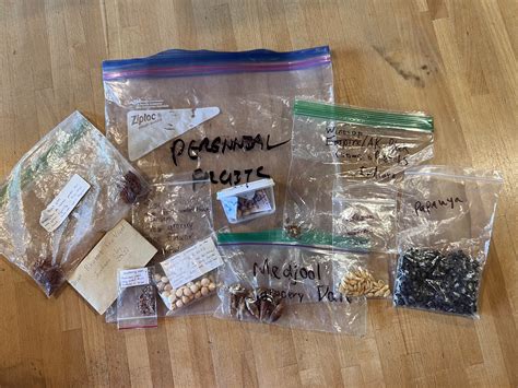 A Pretty Great Seed Train Swapping And Breeding Vegetables Fruits