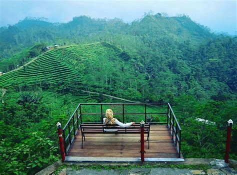 Kulon Progo Resmi Jadi Desa Wisata Digital Di Yogyakarta Bakpia Mutiara Jogja