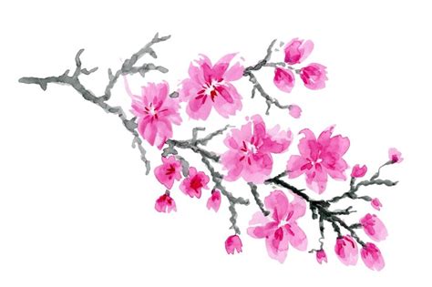 단풍이 있는 수채화 꽃diy 홍당무 핑크 장미 꽃 녹색 잎 개별 요소 프리미엄 벡터