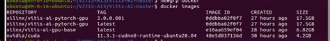CANNOT OPEN BUILT DOCKER Issue 1239 Xilinx Vitis AI GitHub