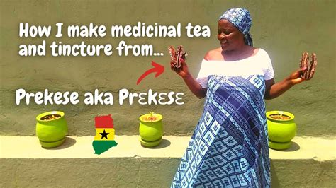 Prekese Fruit Benefits Diy Medicinal Tea And Tincture Prɛkɛsɛ Aka