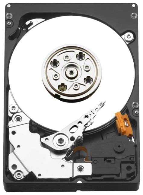 Восстановление данных с жесткого диска Western Digital Wd1000chtz в Datarc