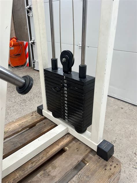 Technogym Isotonic Bicep Curl Bizeps Curl White In Nordrhein Westfalen Bocholt Ebay