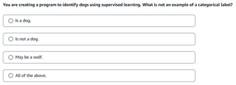 Solved What Is One Real World Example Of Reinforcement