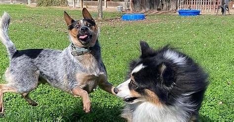 Derping Out Album On Imgur