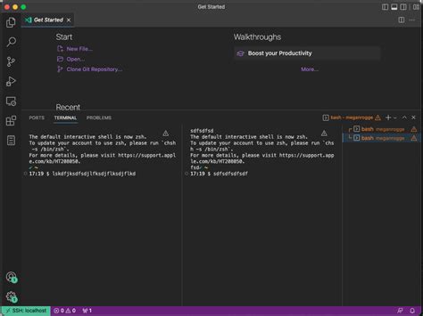 Remote Terminal Reconnection Isnt Working · Issue 133741 · Microsoft Vscode · Github