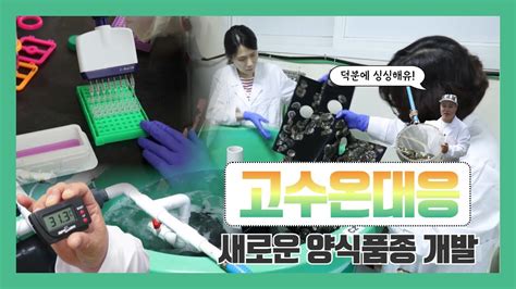 고수온 대응 새로운 양식품종 개발 Youtube