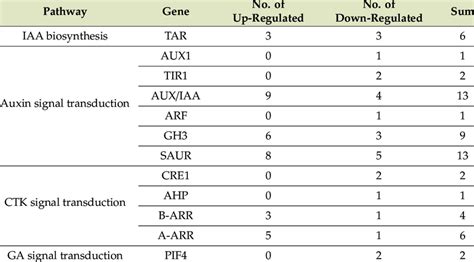 Differentially Expressed Genes Of Eight Plant Hormone Synthesis And