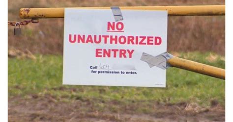 18 000 канадски пуйки и бройлери са умрели от птичи грип Български Фермер