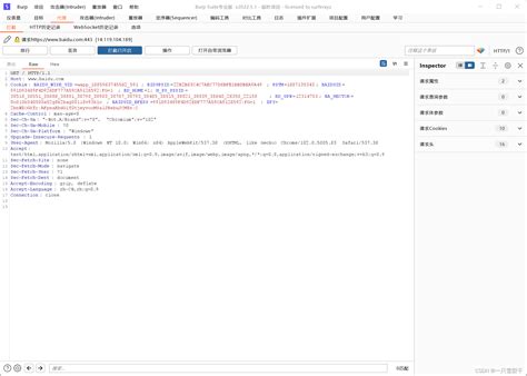 Burp Suite 功能详解（渗透测试工具）burpsuite自带浏览器 Csdn博客