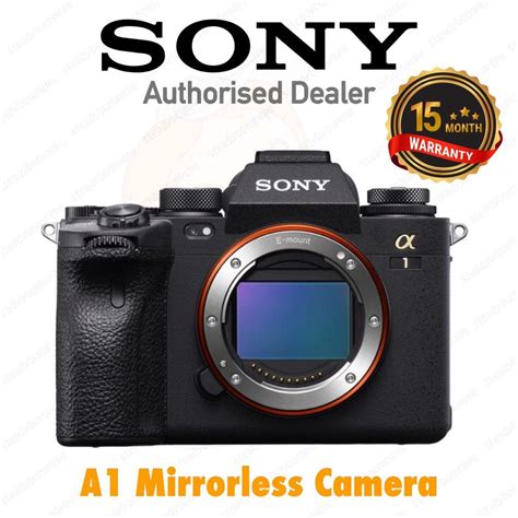 Sony Ilce Mirrorless Camera Photography Cameras On Carousell