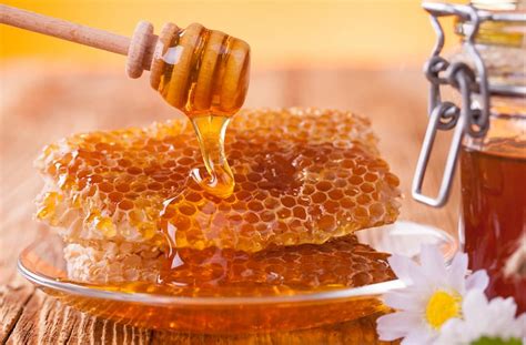 عسل وحشی صخره ای؛ خالص طبع گرم درمان زخم درونی Honey آراد برندینگ