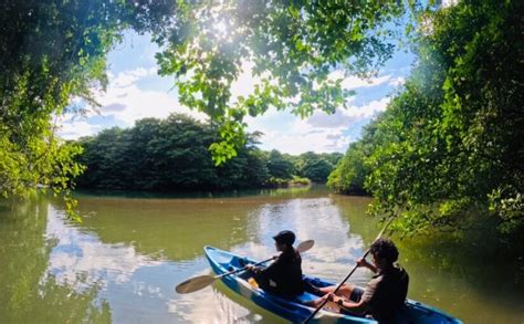 THE 10 BEST Things To Do In Ishigaki Island Okinawa Top Tours