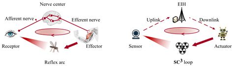 논문 리뷰 Sensing Communication Computing Control Closed Loop Optimization For 6g Unmanned Robotic