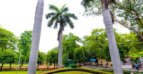 UPSC NDA NA II Result 2023 DECLARED यपएसस एनडए एनए 2 म अनमल न