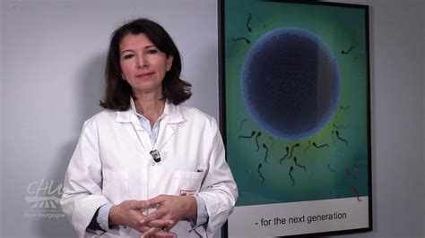 L Assistance Médicale à La Procréation Youtube