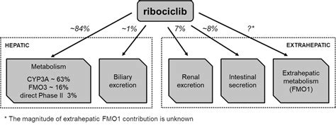 Schematic Description Of Anticipated Ribociclib Elimination Pathways