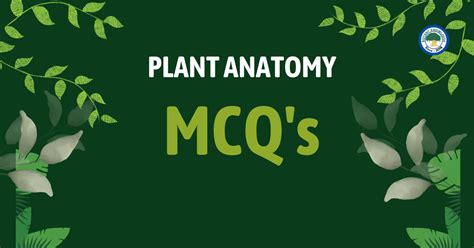 Most Important Plant Anatomy Mcqs Botany Knowledge