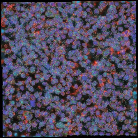 Single Cell Spatial Genomics Vizgen